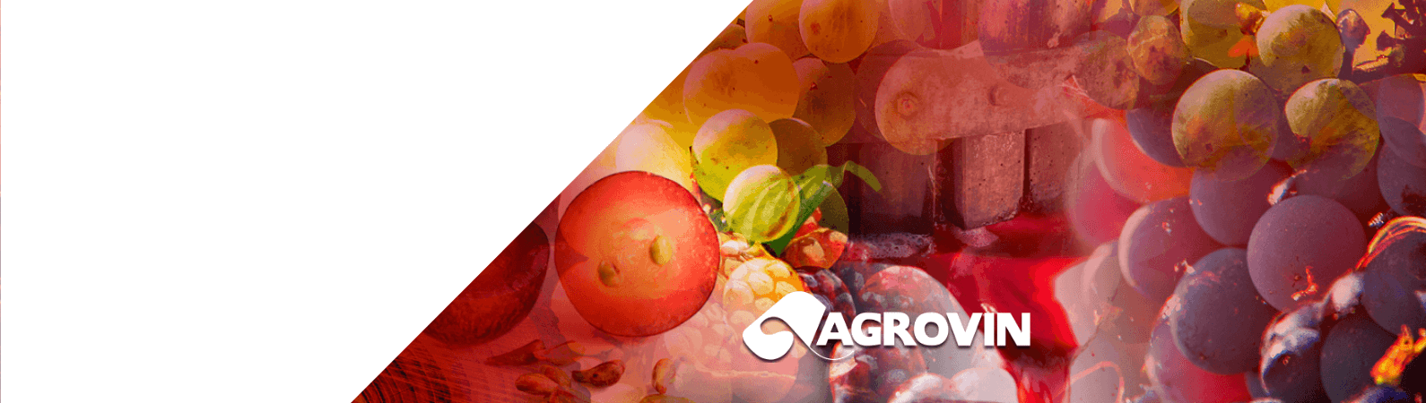 Productos enológicos y maquinaria para bodegas - AGROVIN