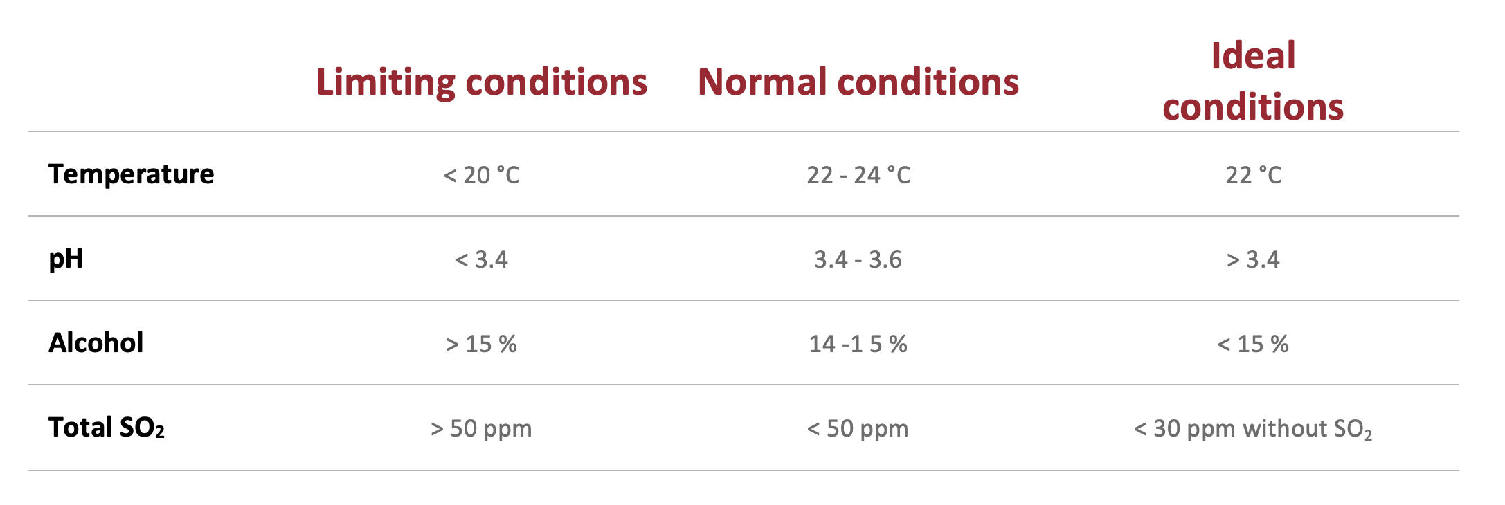 When is the best time to apply lactic bacteria to wine? | Agrovin